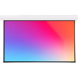Купить Экран для проекторов Lumien Master Large Control LMLC-100103A в ...