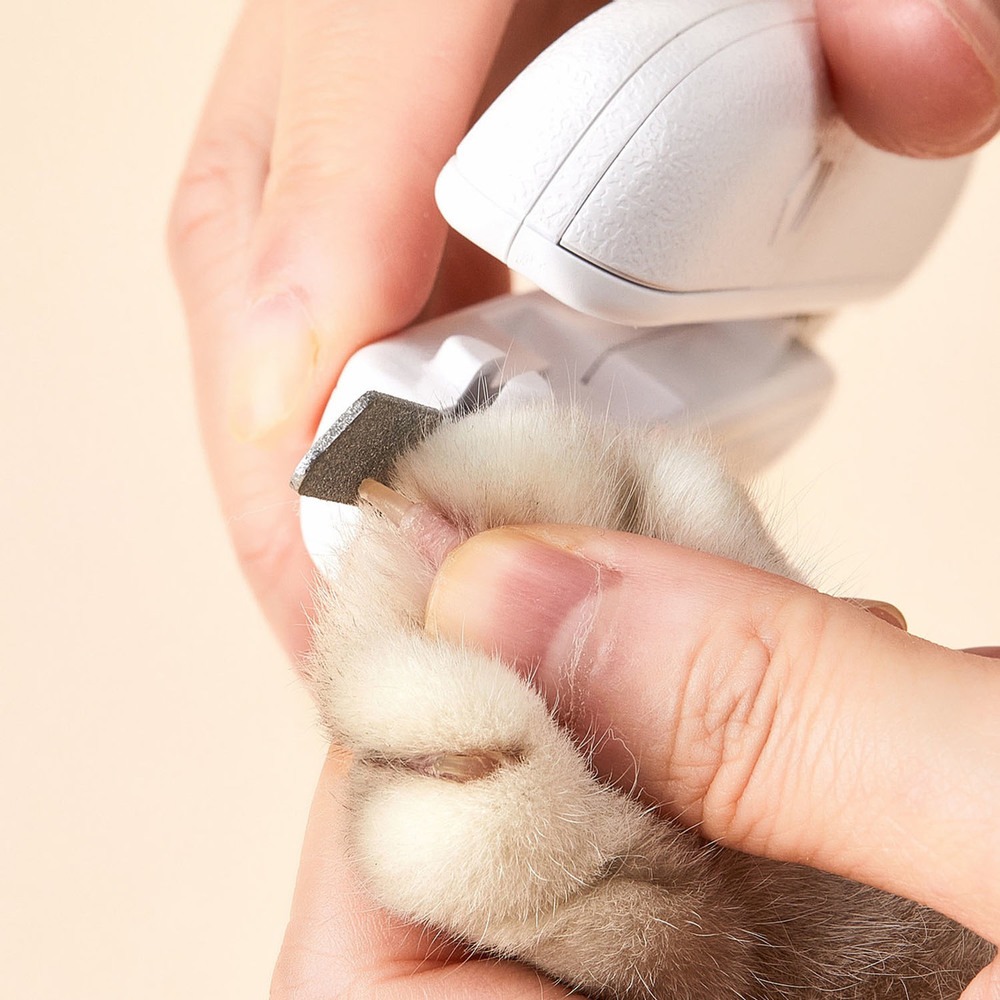 Купить Машинка для стрижки когтей Petkit LED Nail Clipper в Москве