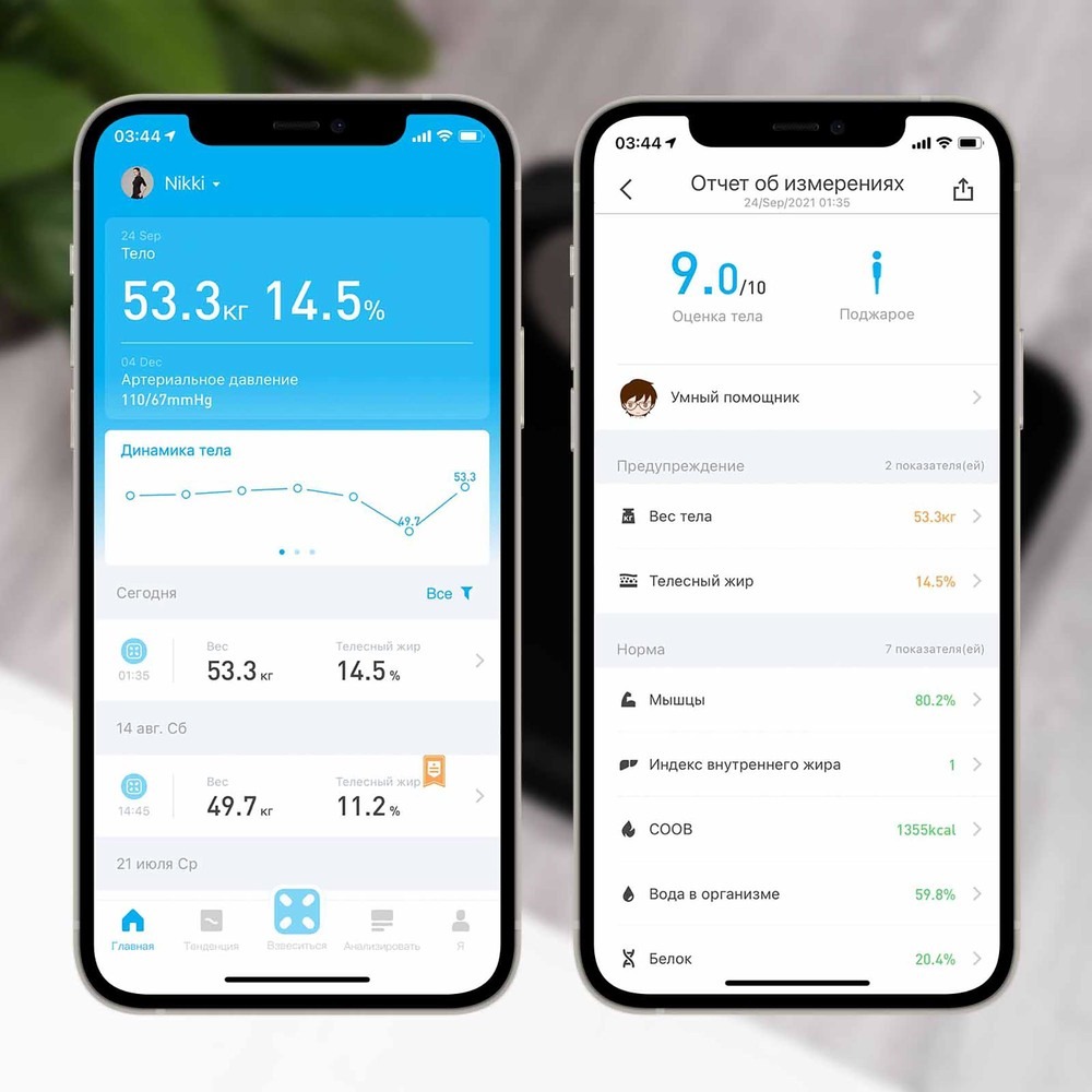 Технические Характеристики Напольные весы Picooc Mini Lite Black | Москва