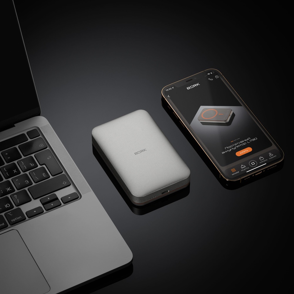 Купить Внешний аккумулятор BORK L790 в Москве